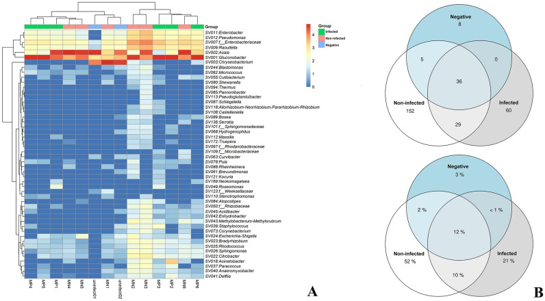 Comparative analysis of midgut bacterial communities in Chikungunya virus-infected and non ...