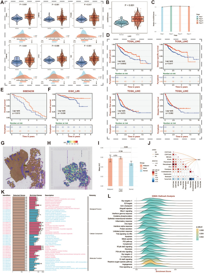 Pyroptosis drives tumor progression and immune evasion in ...