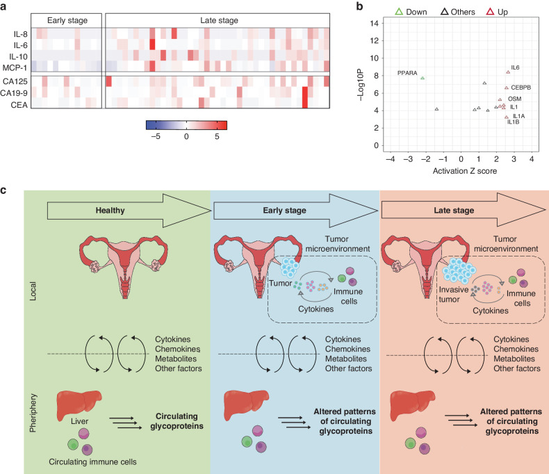 Diagnosing and staging epithelial ovarian cancer by serum glycoproteomic profiling - PMC