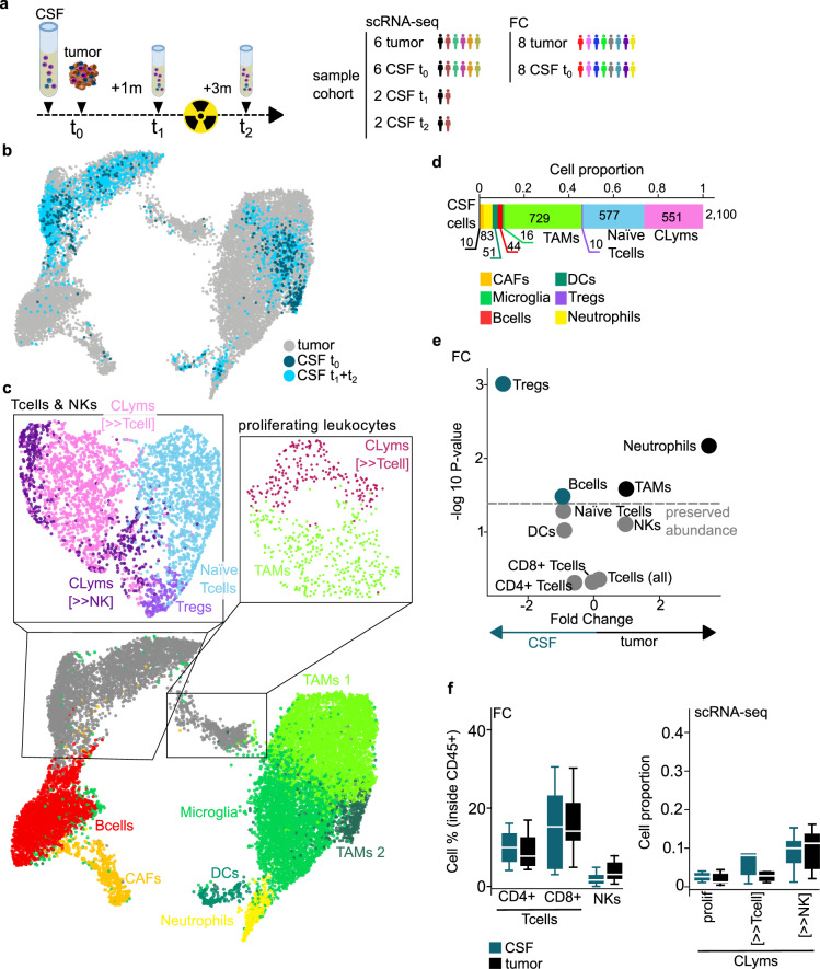 Immune cell profiling of the cerebrospinal fluid enables the characterization of the brain ...