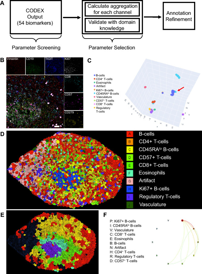 Automated spatial omics landscape analysis approach reveals novel ...