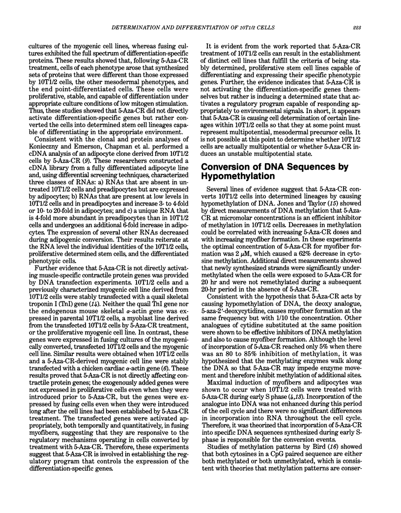 10T1/2 cells: an in vitro model for molecular genetic analysis of mesodermal determination and ...