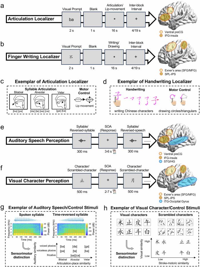 Neural representation of sensorimotor features in language-motor areas during auditory and ...