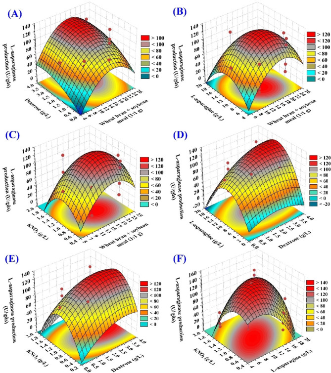 Artificial intelligence-based optimization for extracellular L-glutaminase free L-asparaginase ...