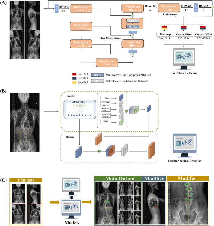 Automatic Lenke classification of adolescent idiopathic scoliosis with deep learning - PMC