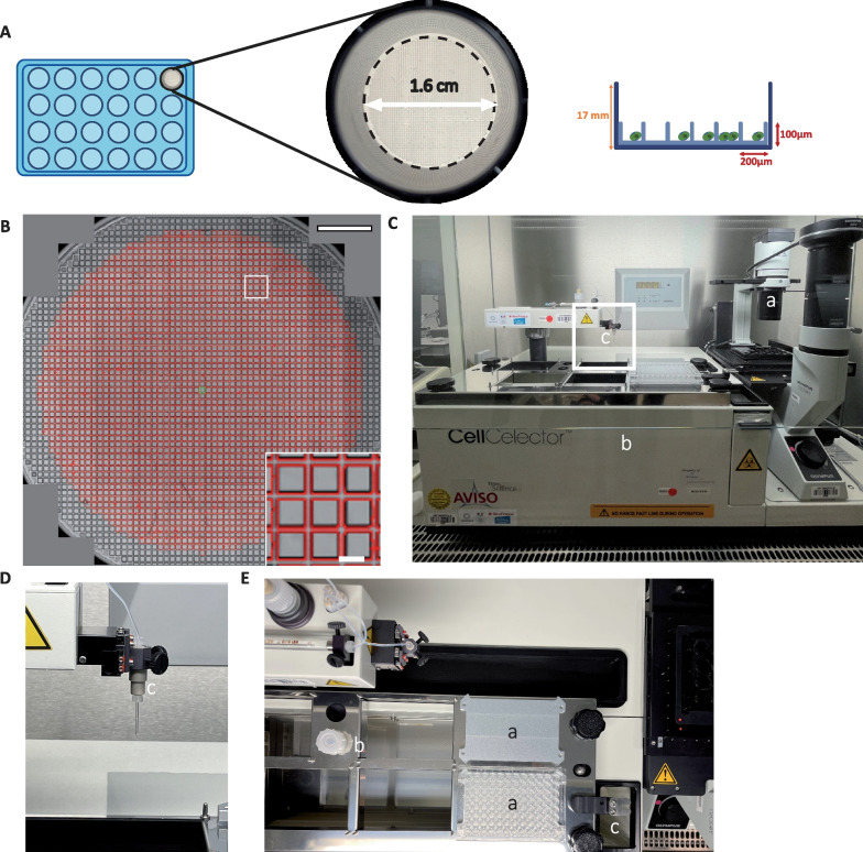 Semi-automated optimized method to isolate CRISPR/Cas9 edited human pluripotent stem cell clones ...