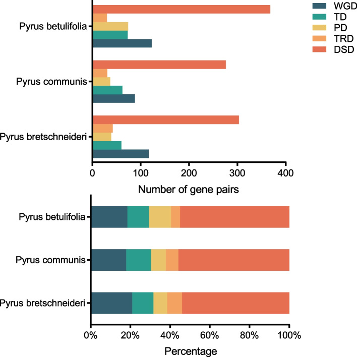 Genome-wide identification, comparative analysis and functional roles in flavonoid biosynthesis ...