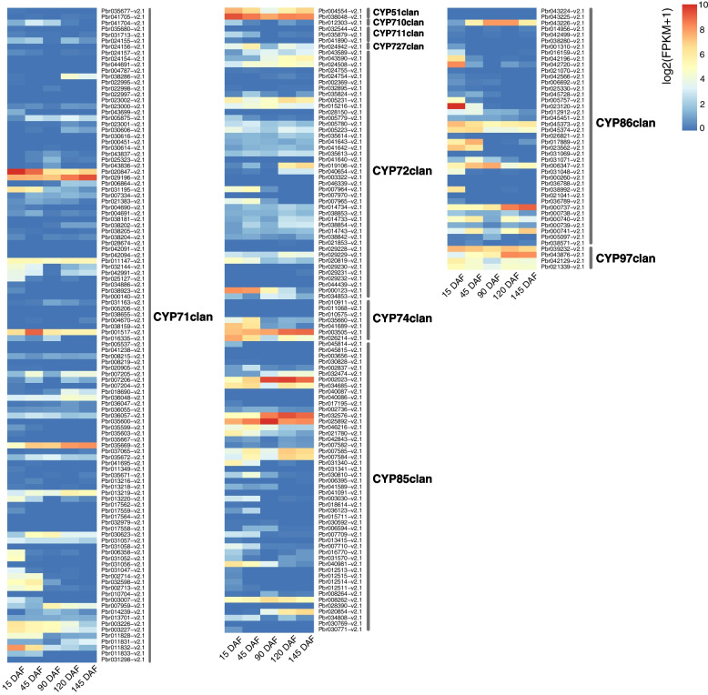 Genome-wide identification, comparative analysis and functional roles in flavonoid biosynthesis ...