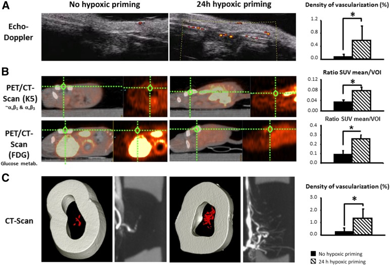 Priming Dental Pulp Stem Cells With Fibroblast Growth Factor-2 Increases Angiogenesis of ...
