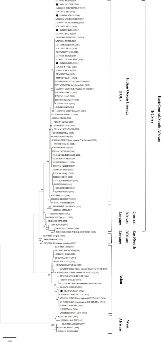 Importation of a novel Indian Ocean lineage carrying E1-K211E and E2 ...