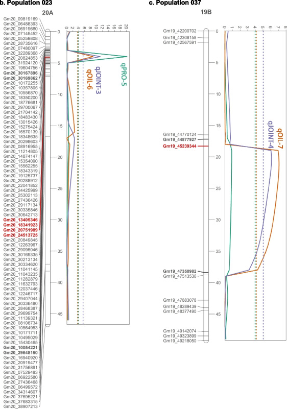 Single- and multiple-trait quantitative trait locus analyses for seed oil and protein contents ...