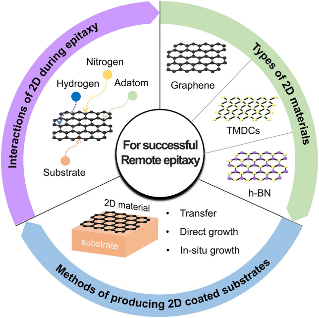 Understanding the 2D-material and substrate interaction during epitaxial growth towards ...