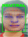 Facial emotion recognition based real-time learner engagement detection ...