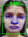 Facial emotion recognition based real-time learner engagement detection ...