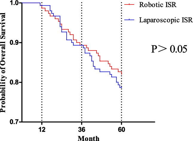 Long-term functional and prognostic outcomes of robotic intersphincteric resection for treating ...