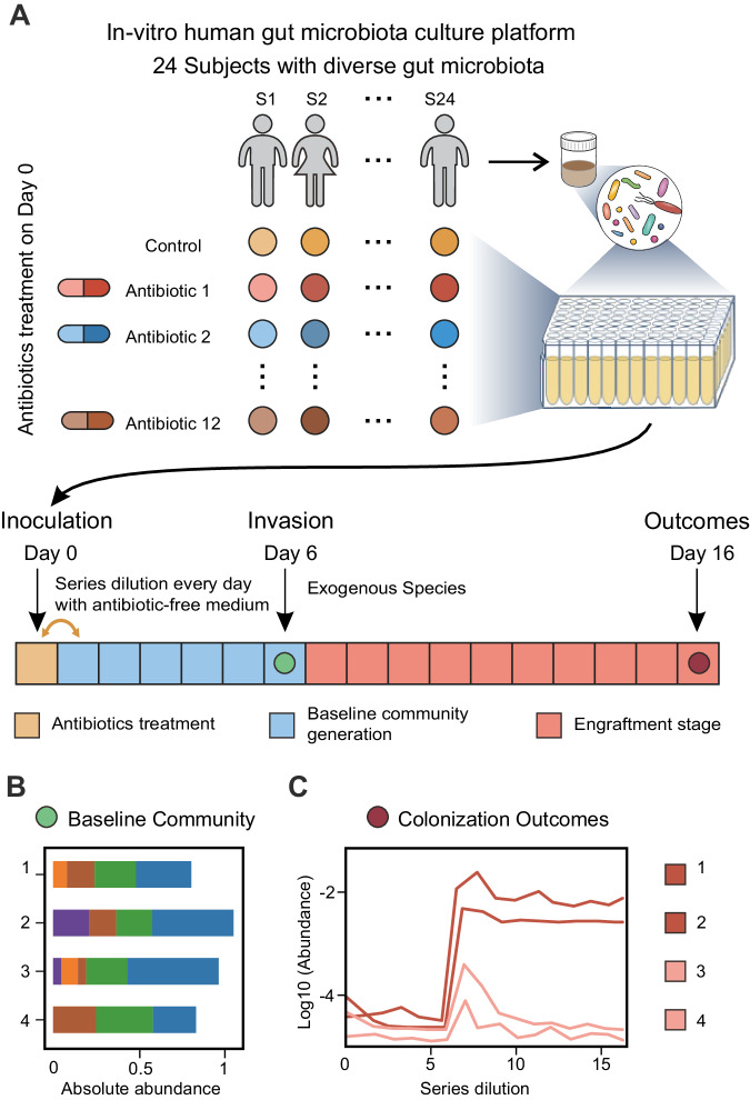 Data-driven prediction of colonization outcomes for complex microbial communities - PMC