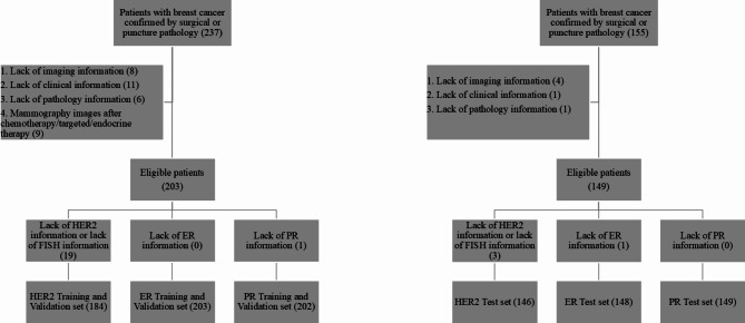 An assessment of breast cancer HER2, ER, and PR expressions based on mammography using deep ...