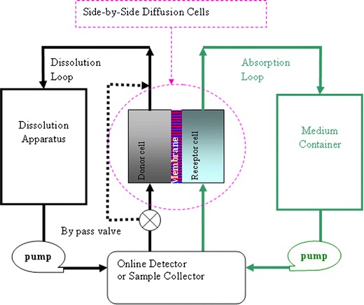 Development of a Continuous Dissolution/Absorption System—a Technical Note - PMC