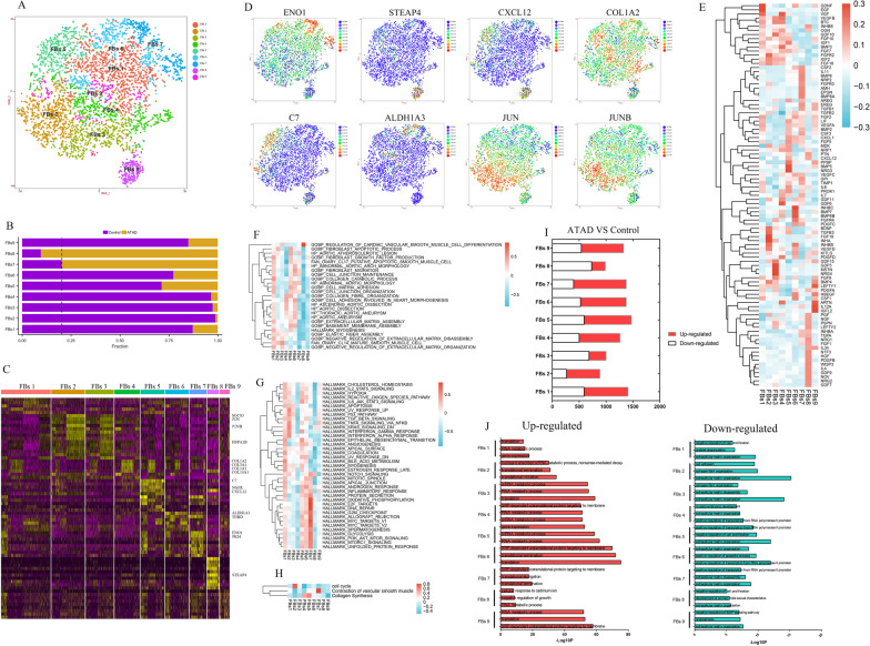 Single-cell transcriptomic analysis reveals differential cell ...
