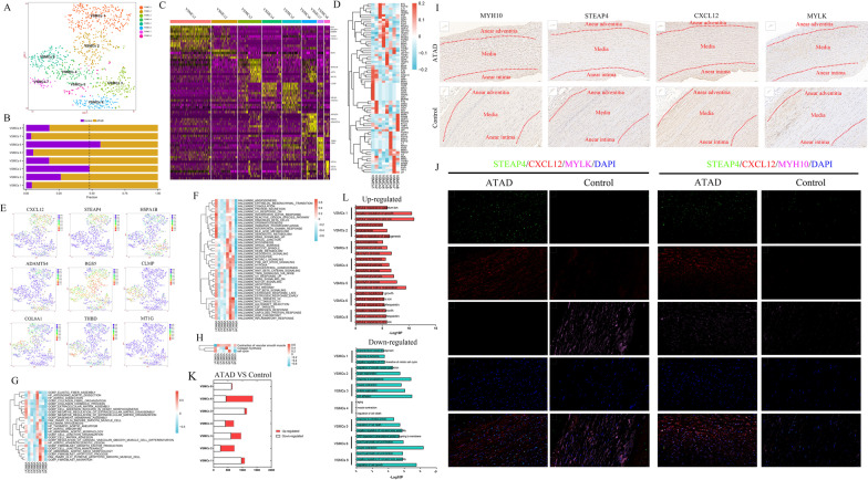 Single-cell transcriptomic analysis reveals differential cell ...