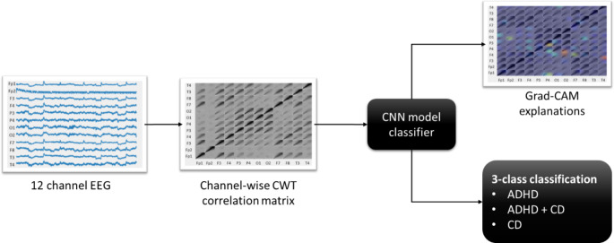 ADHD/CD-NET: automated EEG-based characterization of ADHD and CD using explainable deep neural ...