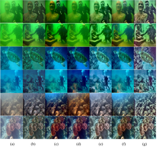 A multimodal approach with firefly based CLAHE and multiscale fusion ...