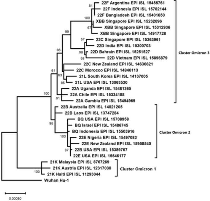 Consensus insertion/deletions and amino acid variations of all coding and noncoding regions of ...