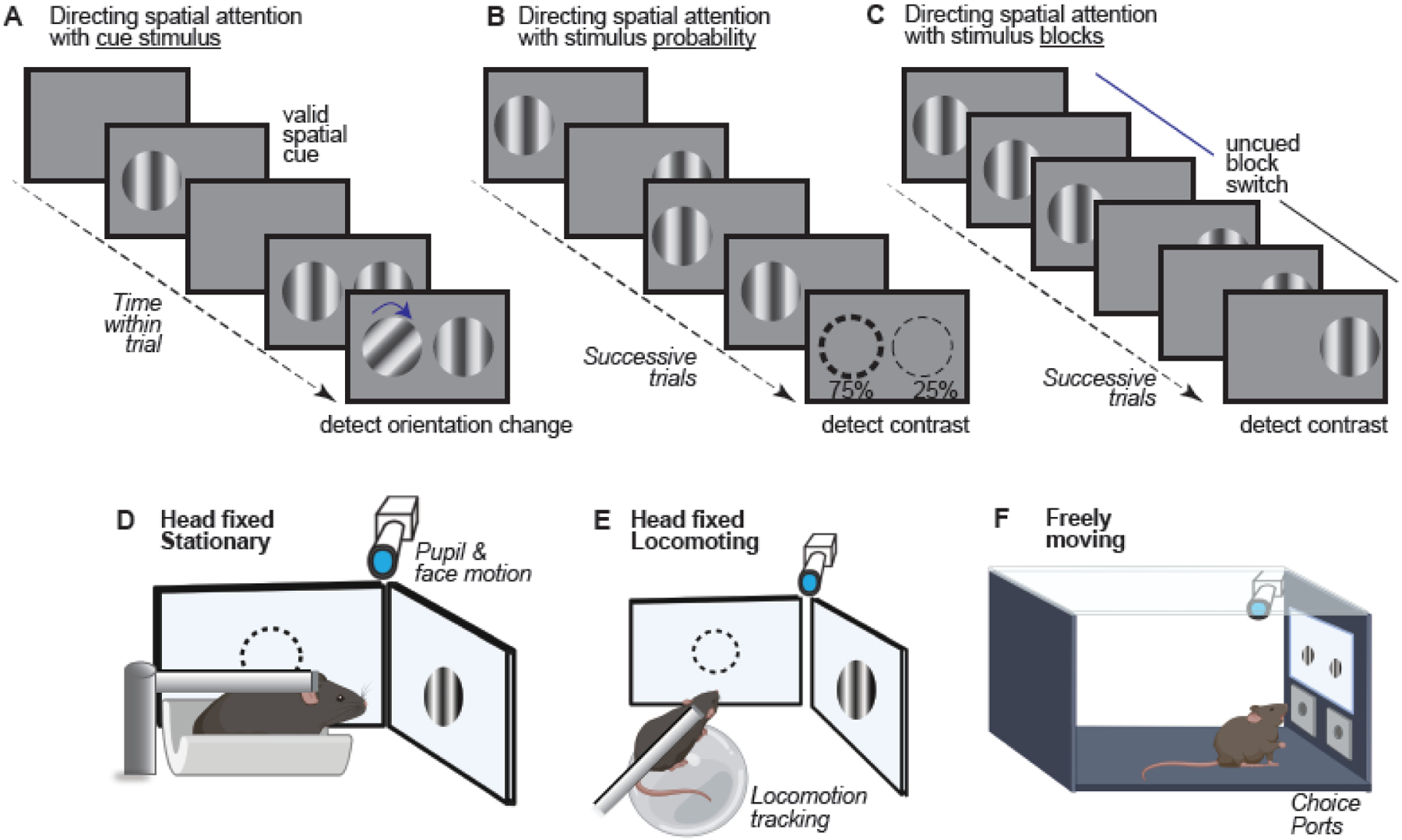 Probing mechanisms of visual spatial attention in mice - PMC