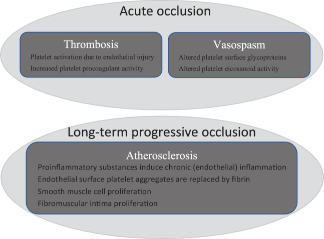 Essential thrombocytosis: diagnosis, differential diagnosis ...