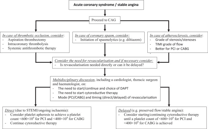 Essential thrombocytosis: diagnosis, differential diagnosis ...