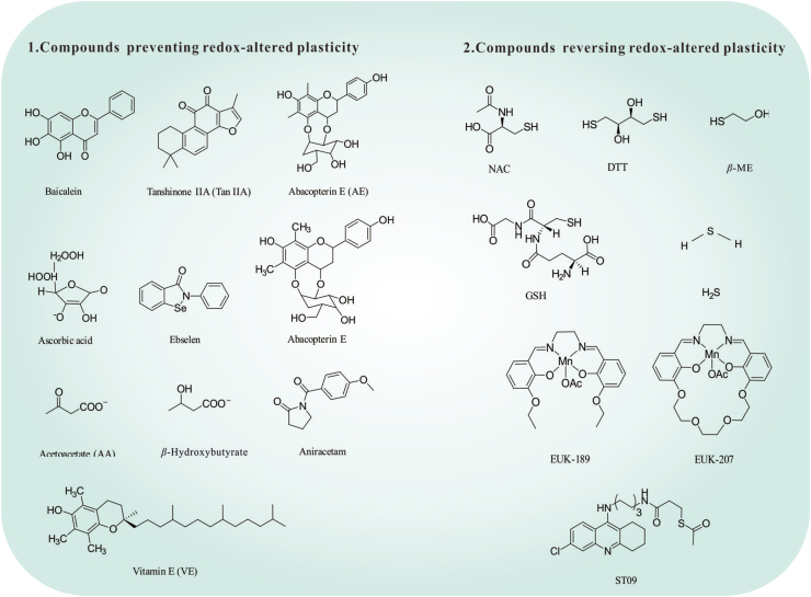 Targeting redox-altered plasticity to reactivate synaptic function: A novel therapeutic strategy ...