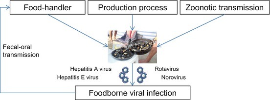 Genomics and Foodborne Viral Infections - PMC