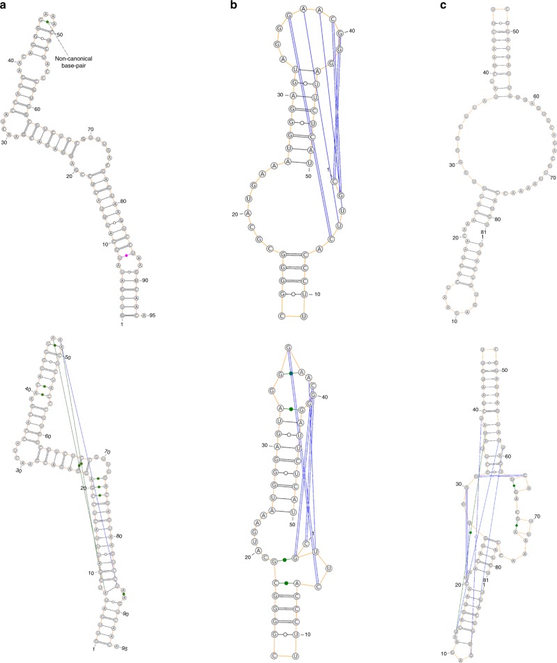 RNA secondary structure prediction using an ensemble of two-dimensional ...