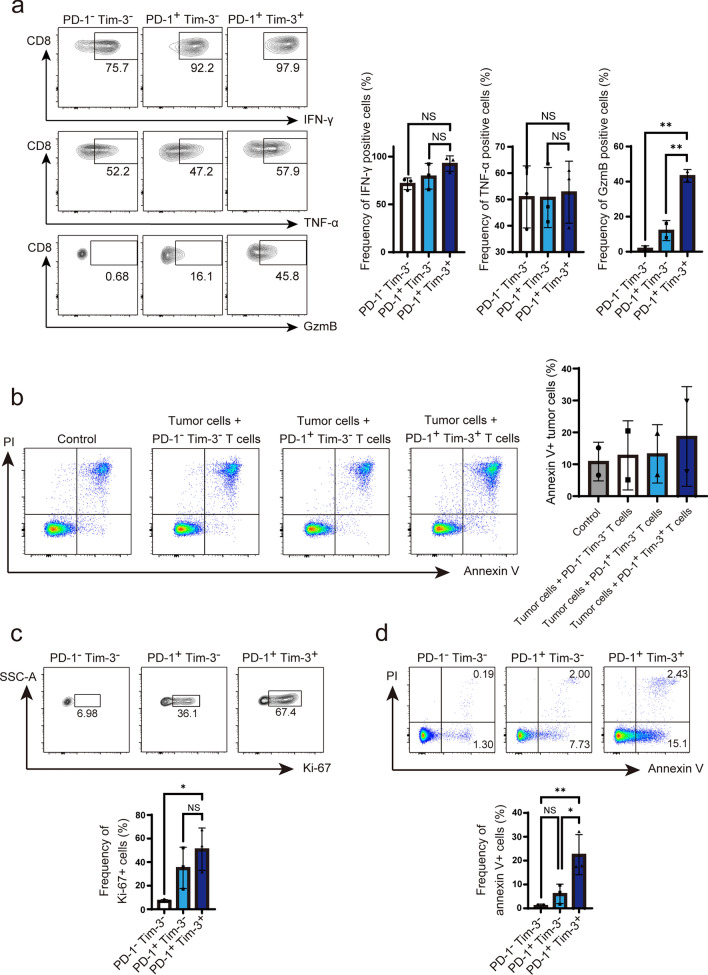 The pathogenetic significance of exhausted T cells in a mouse model of mature B cell neoplasms - PMC