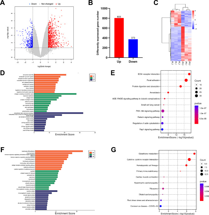 Comprehensive analysis of m6A modification in lipopolysaccharide-induced acute lung injury in ...