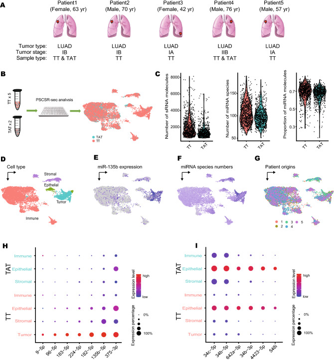 Small RNA transcriptome analysis using parallel single-cell small RNA sequencing - PMC