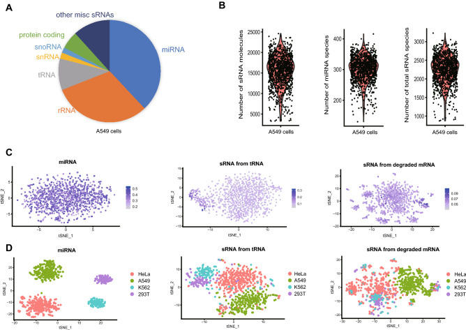 Small RNA transcriptome analysis using parallel single-cell small RNA sequencing - PMC