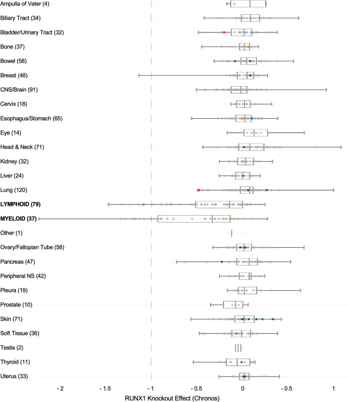 RUN(X) out of blood: emerging RUNX1 functions beyond hematopoiesis and links to Down syndrome - PMC