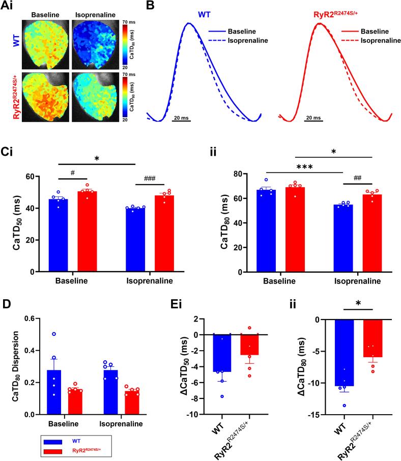Dual calcium-voltage optical mapping of regional voltage and calcium signals in intact murine ...
