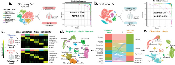 Coordinated single-cell tumor microenvironment dynamics reinforce ...