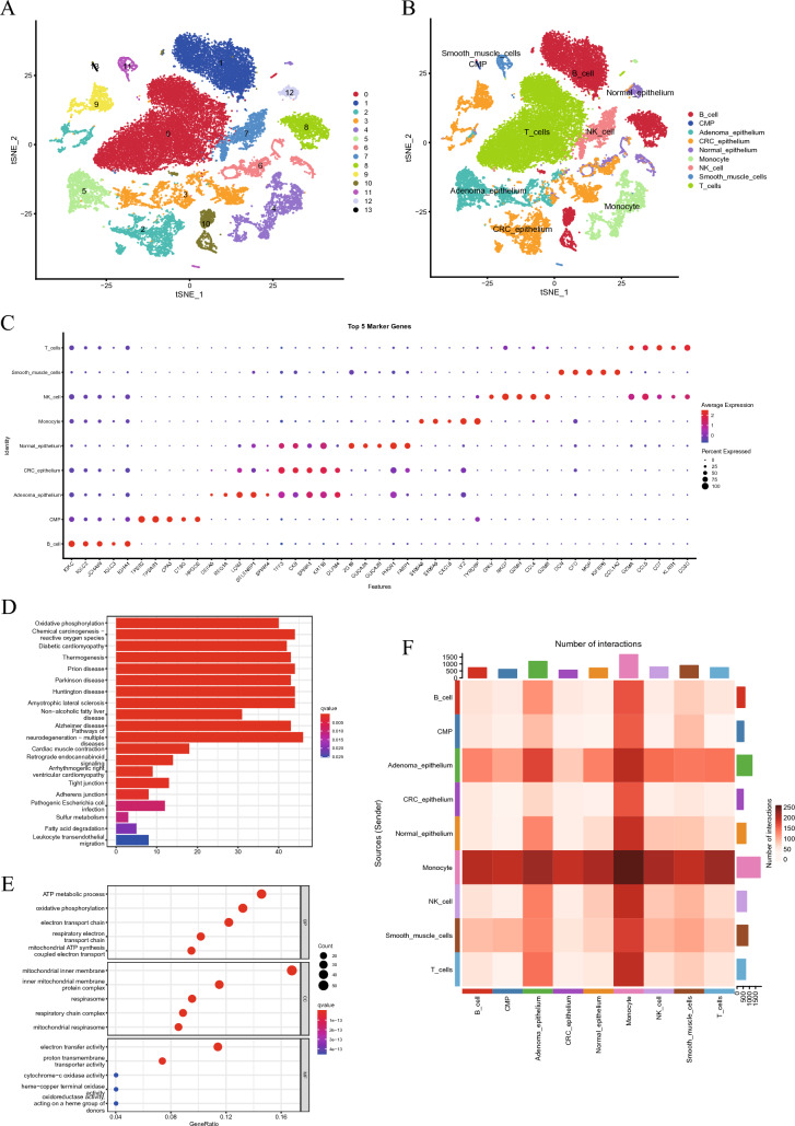 Single-cell RNA-Seq and bulk RNA-Seq reveal reliable diagnostic and prognostic biomarkers for ...