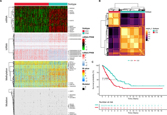 Multiomic machine learning on lactylation for molecular typing and prognosis of lung ...