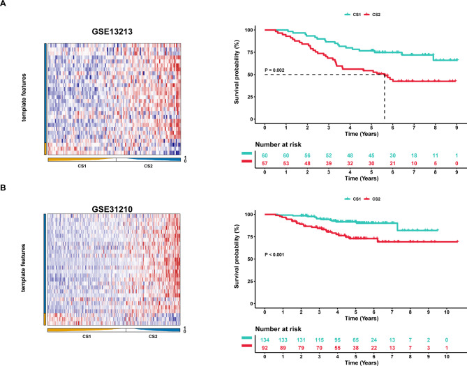 Multiomic machine learning on lactylation for molecular typing and prognosis of lung ...