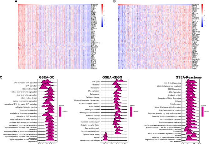Multiomic machine learning on lactylation for molecular typing and prognosis of lung ...