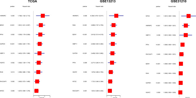 Multiomic machine learning on lactylation for molecular typing and prognosis of lung ...