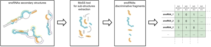 GL4SDA: Predicting snoRNA-disease associations using GNNs and LLM embeddings - PMC