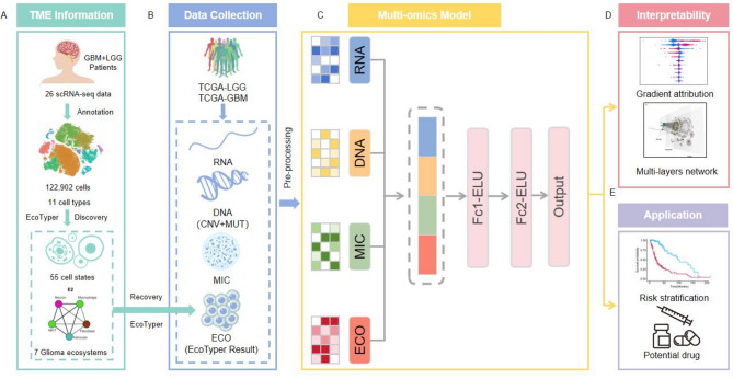 Leveraging TME features and multi-omics data with an advanced deep learning framework for ...