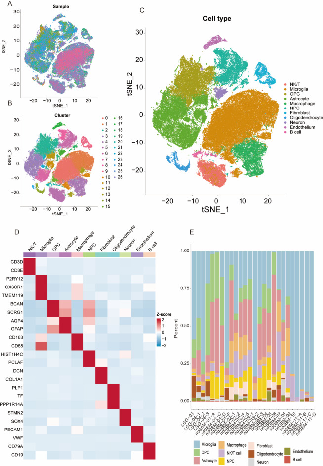 Leveraging TME features and multi-omics data with an advanced deep learning framework for ...