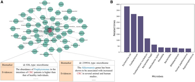 MarkerGenie: an NLP-enabled text-mining system for biomedical entity relation extraction - PMC