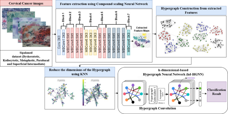 A hybrid compound scaling hypergraph neural network for robust cervical cancer subtype ...